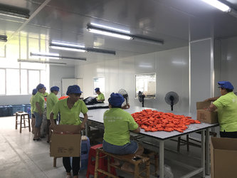 XIAMEN GREENLIKE BAG CO.,LTD factory production line