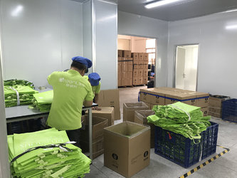 XIAMEN GREENLIKE BAG CO.,LTD factory production line