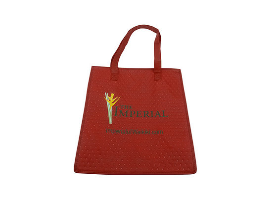 Red Non Woven Beach Tote Wine Potable Cooler Bag 32*35cm Size With Zipper