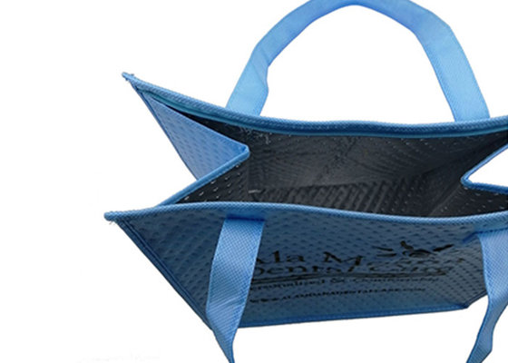 Blue Insulated Portable Cooler Bag , Non Woven Tote Bag Large With Zipper