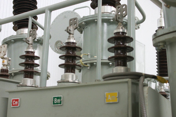 Double Winding Electric Power Transformers