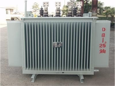 10KV High Voltage Three Phase Oil Immersed Power Transformer For Factory