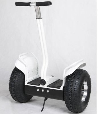 2 Wheel Smart Electric Chariot Scooter , City Road Mobility Adult Segway Electric Scooter