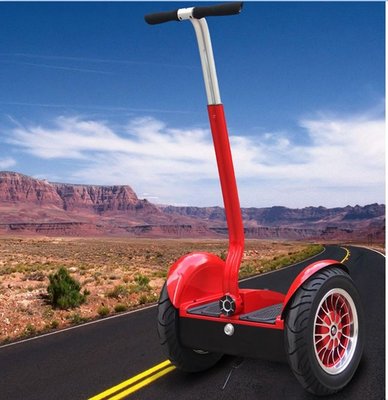 2 DC Motor Self Balancing Electric Chariot Scooter 1600W Dust - Resistant