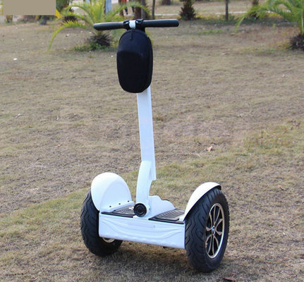 Outdoor Sports 2 Wheel Electric Standing Segway Off Road For Young People