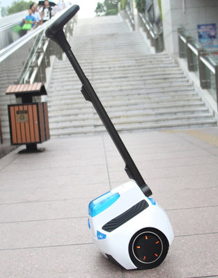 Portable Off Road Segway Electric Chariot Low Carbon Environmental Protection