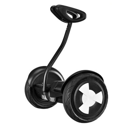 10 Inch Inflatable Wheel Off Road Segway Scooter With 700w Motor Power