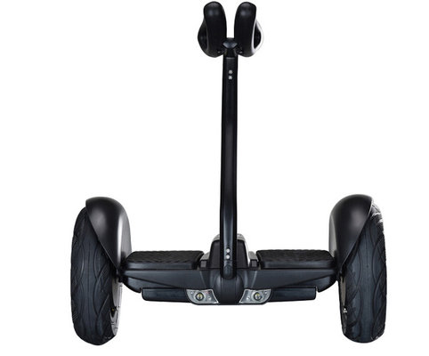 10 Inch Inflatable Wheel Off Road Segway Scooter With 700w Motor Power