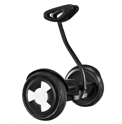 10 Inch Inflatable Wheel Off Road Segway Scooter With 700w Motor Power