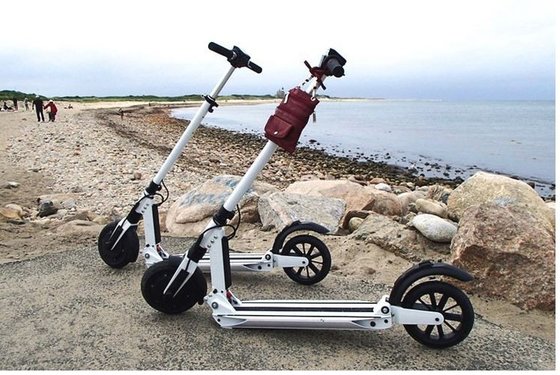 Smart portatile ha motorizzato la ruota elettrica piegante del motorino 450w due di Segway
