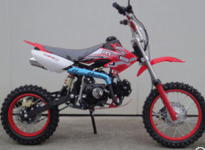 D7-12 Adult Dirt Bike ATV Quad Scooter with Ce