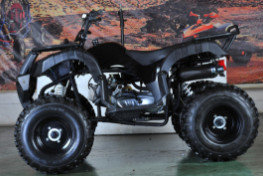 Moto 200cc Utility Quad Bike ATV for Farm (MDL 200AUG)