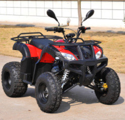 Moto 200cc Utility Quad Bike ATV for Farm (MDL 200AUG)