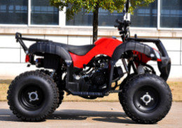 Moto 200cc Utility Quad Bike ATV for Farm (MDL 200AUG)