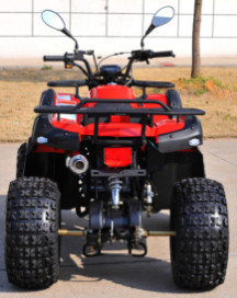 Moto 200cc Utility Quad Bike ATV for Farm (MDL 200AUG)
