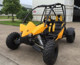 Plastic Cover Dune Buggy Go Kart for Funny Toy (KD 150GKT-2)