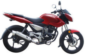 Motorcycle (GW200-11/GW150-11)