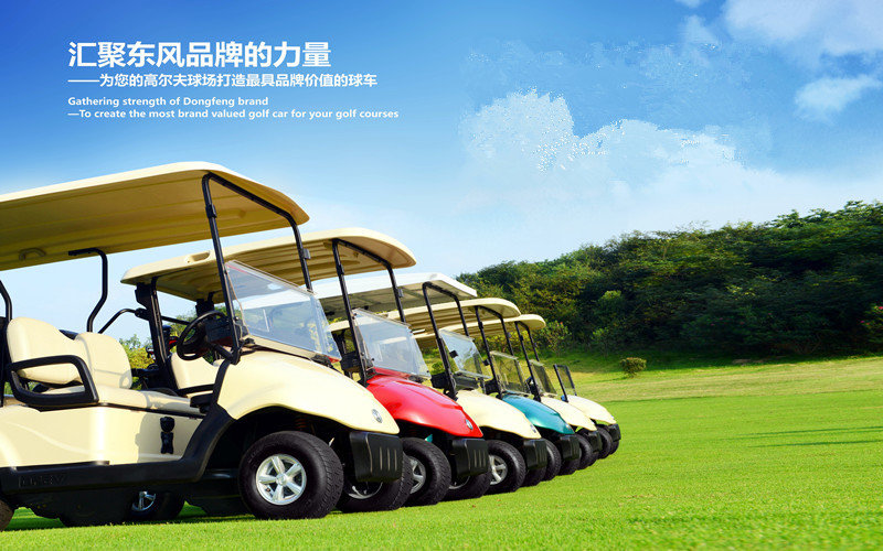 Κίνα Dongfeng Electric Vehicle Co., Ltd. Εταιρικό Προφίλ