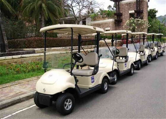 Energy Saving Mini Electric Motor Golf Cart Two Seater With Battery Operated