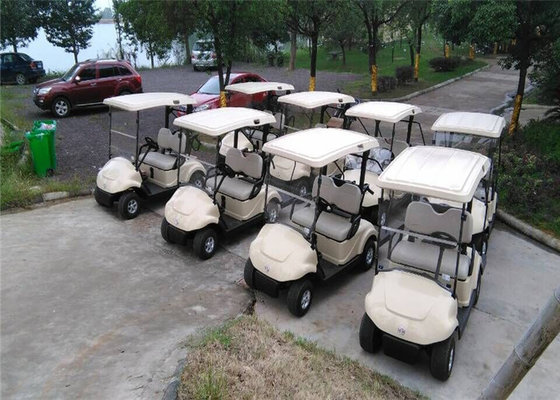 Green Color Small 2 Seater Electrical Golf Carts With Lights For Golf Club / Courses