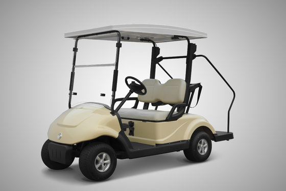 Pure Electric 2 Seater Electrical Golf Carts 4 Wheel With Solar Panel Roof 300w