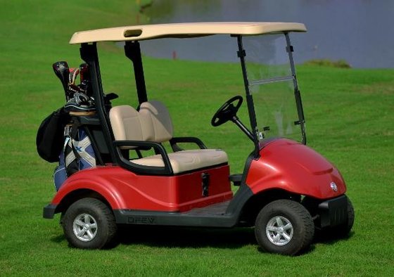 Green Color Small 2 Seater Electrical Golf Carts With Lights For Golf Club / Courses