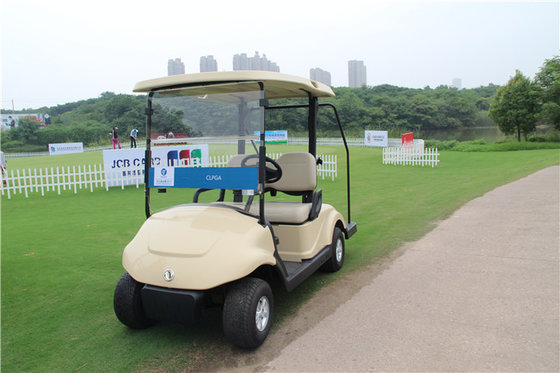 Two Seater Pure Electric Power Road Legal Golf Cart With Plastic Bodywork