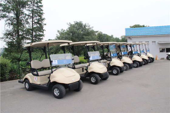 Flexible Electric Golf Cart Car With Two Seat Battery Powered CE Approved