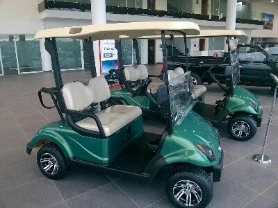 Green 48V 3KW Precedent 2 Seater Golf Carts With Rear Drum Brake For Golf Courses