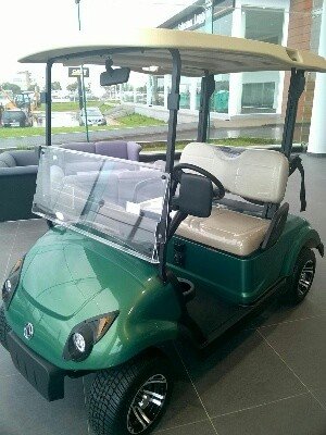 Green 48V 3KW Precedent 2 Seater Golf Carts With Rear Drum Brake For Golf Courses