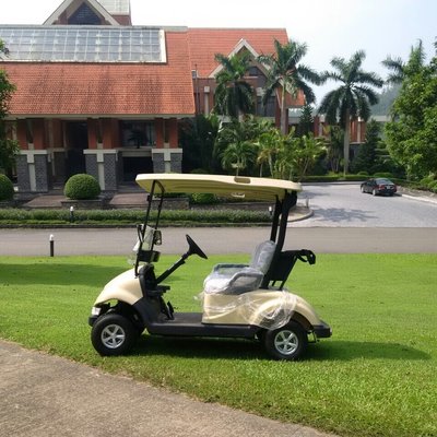 Electric Power 2 Seater Golf Carts , Small 2 Passenger Golf Buggy UV Proof