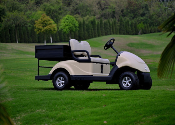 Two Seater Pure Electric Power Golf Electric Buggy 3KW Motor With Plastic Bodywork
