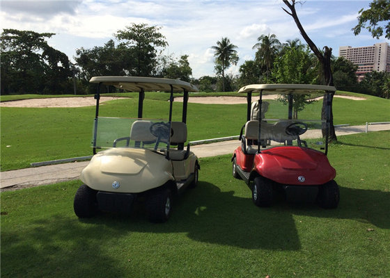 Easy Go Club 2 Seater Golf Carts Street Legal With 3 KW KDS Motor