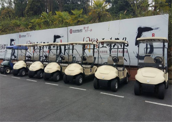 Coral Red 2 Seater Electrical Golf Carts With Caddy Plate / Curtis Controller