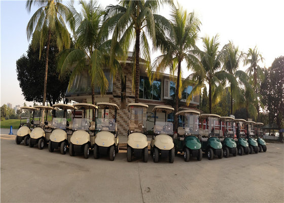 High End Two Passenger Electric Cars Golf Carts Maximum Speed 30km/h