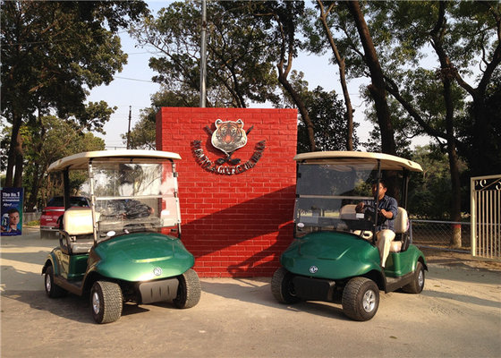 High End Two Passenger Electric Cars Golf Carts Maximum Speed 30km/h