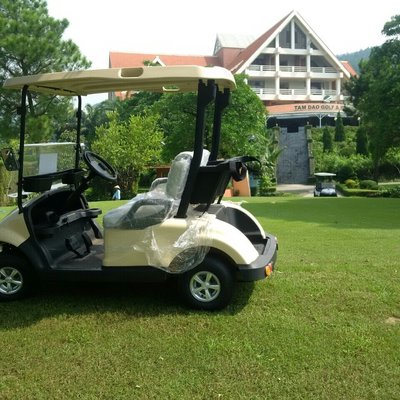 Electric Power 2 Seater Golf Carts , Small 2 Passenger Golf Buggy UV Proof