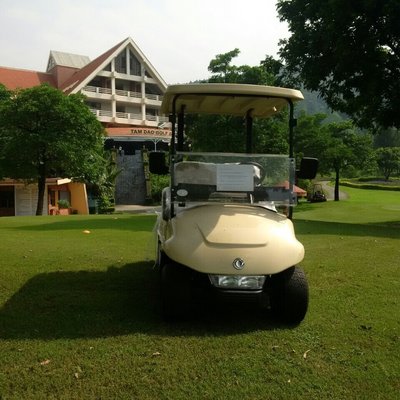 Electric Power 2 Seater Golf Carts , Small 2 Passenger Golf Buggy UV Proof
