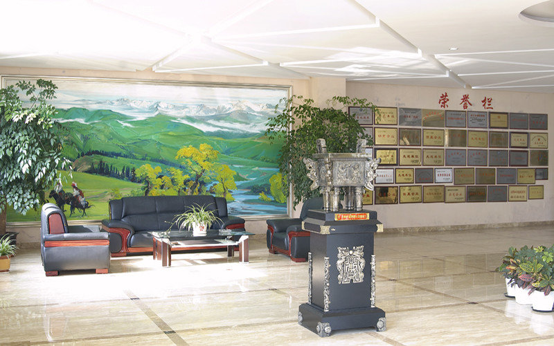 China Jubang Electric Group Co., Ltd. Unternehmensprofil