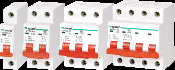 High Capacity Mini 2 Pole Circuit Breaker Miniature Switch Auto Electronics