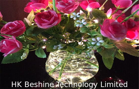 Mini Led Submersible Copper Wire Wedding String Light Operated By 2pcs Cr2032 Cell Battery
