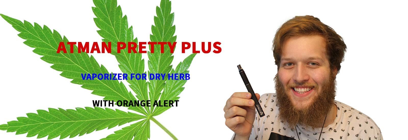 quality Electronic Dry Herb Vaporizer factory