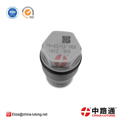 Diesel Limiting Pressure Valve 1 110 010 013 Fuel Rail Pressure Relief Limiter Valve Sensor supplier