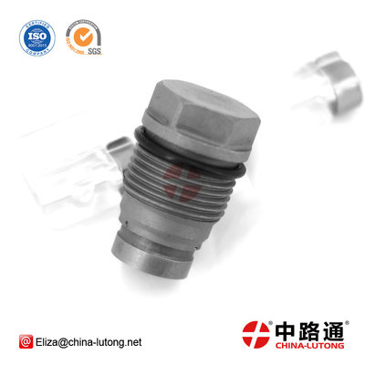 Diesel Limiting Pressure Valve 1 110 010 013 Fuel Rail Pressure Relief Limiter Valve Sensor supplier