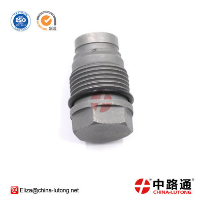 Fuel Injector Pump Pressure Relief Valve 1 110 010 022 fuel rail pressure valve supplier