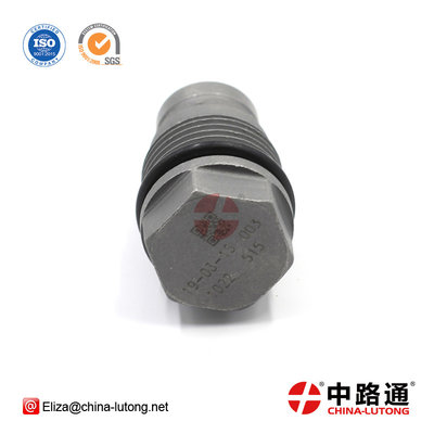 Fuel Injector Pump Pressure Relief Valve 1 110 010 022 fuel rail pressure valve supplier