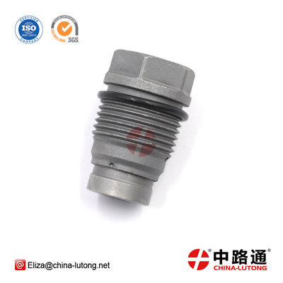 Fuel Injector Pump Pressure Relief Valve 1 110 010 022 fuel rail pressure valve supplier
