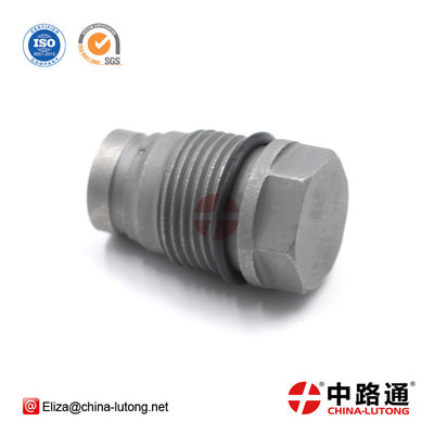 Fuel Injector Pump Pressure Relief Valve 1 110 010 022 fuel rail pressure valve supplier