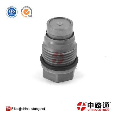 Fuel Pressure Limiting Relief Valve 1 110 010 029 high pressure limiter supplier