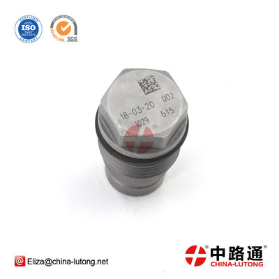 Fuel Pressure Limiting Relief Valve 1 110 010 029 high pressure limiter supplier